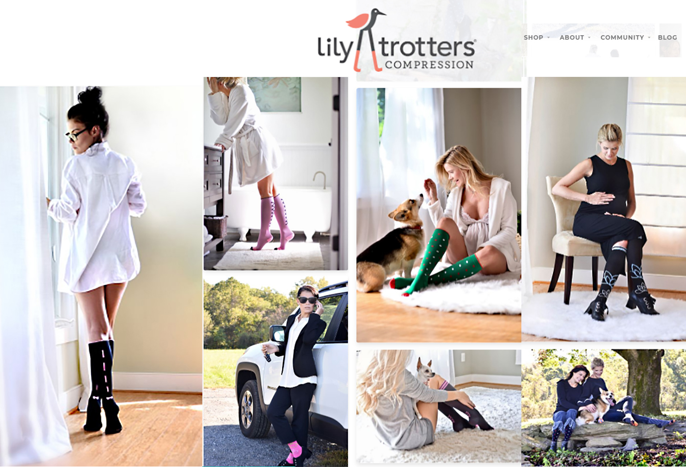 One of my favorite clients…Lily Trotters! – Amy Jones Photography