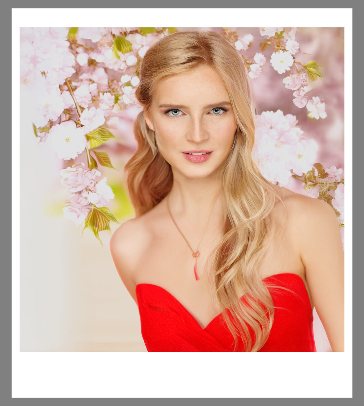 Amy Jones Photography – a Baltimore/Harford County based Photography Studio
